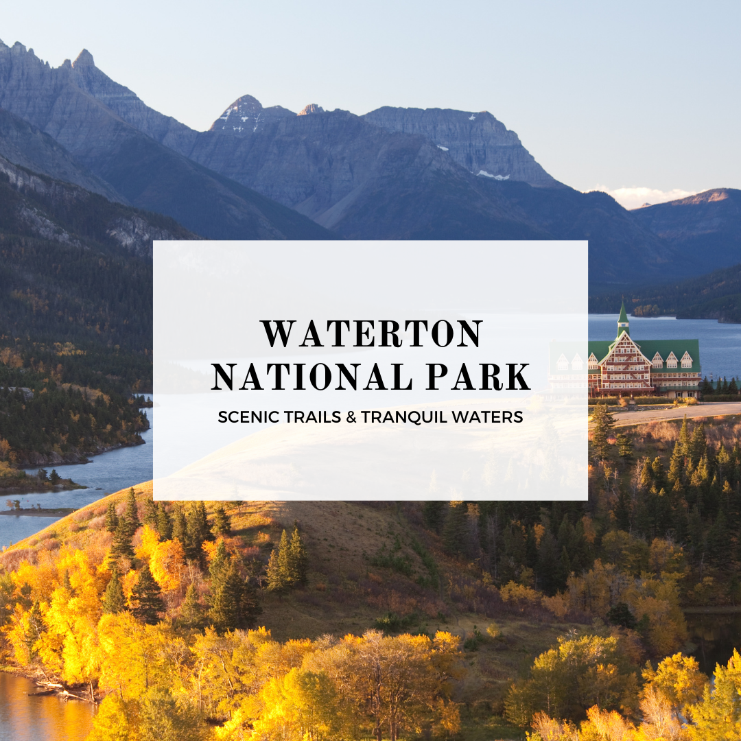 Discover Waterton National Park: Scenic Trails & Tranquil Waters – Wild ...